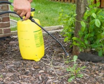 EPA Rejects California's Roundup Cancer Labels | Personal Injury Attorney